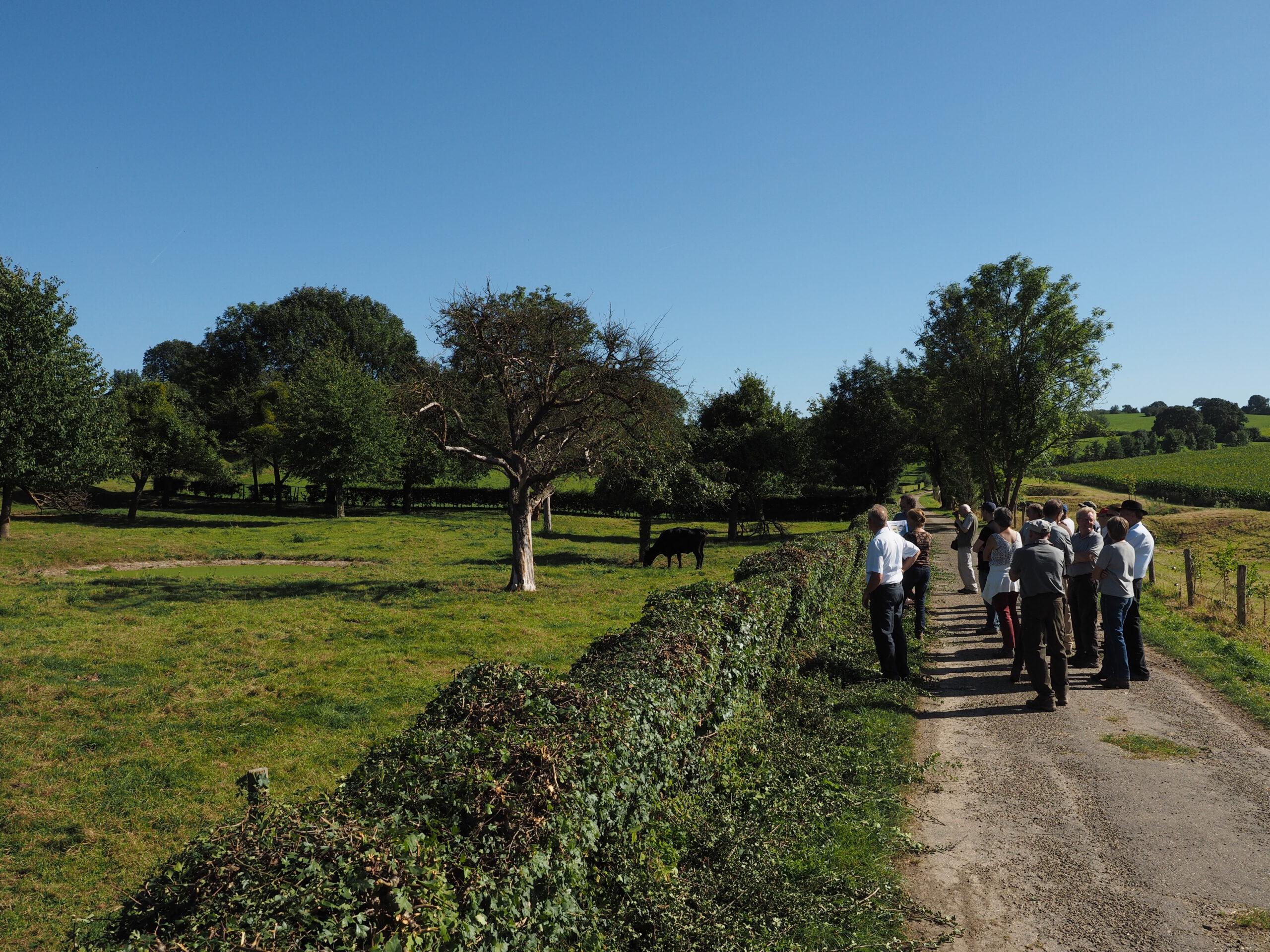 GLB pilot: doelgericht ANLb - Natuurrijk Limburg