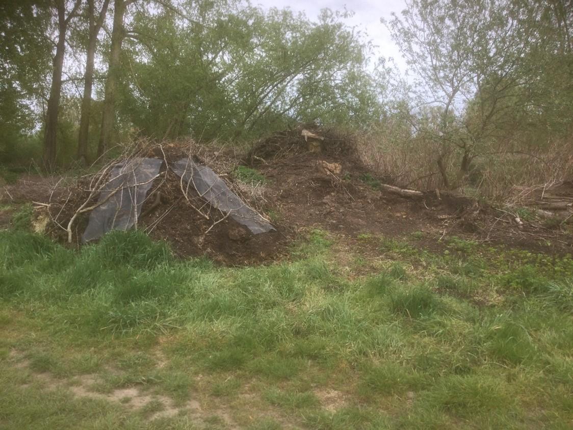 7 broeihopen voor de ringslang in Midden-Limburg - Natuurrijk Limburg