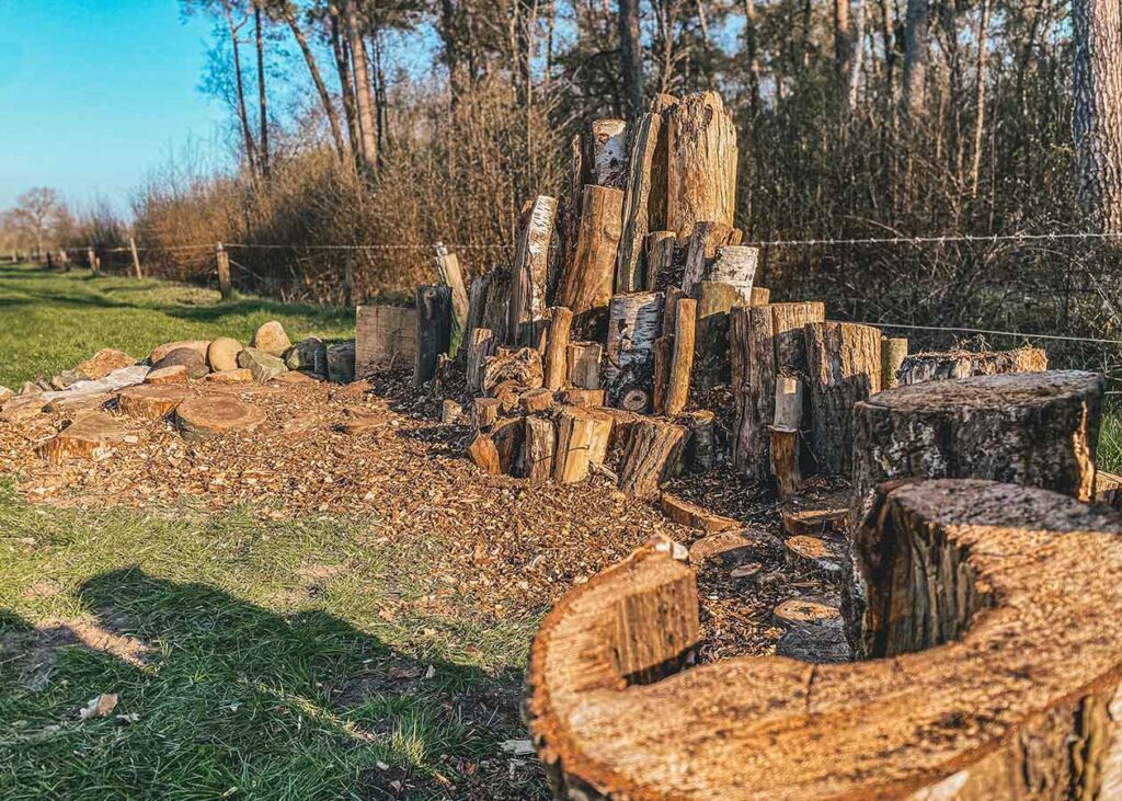 Help het vliegend hert: broedplekken gezocht! - Natuurrijk Limburg